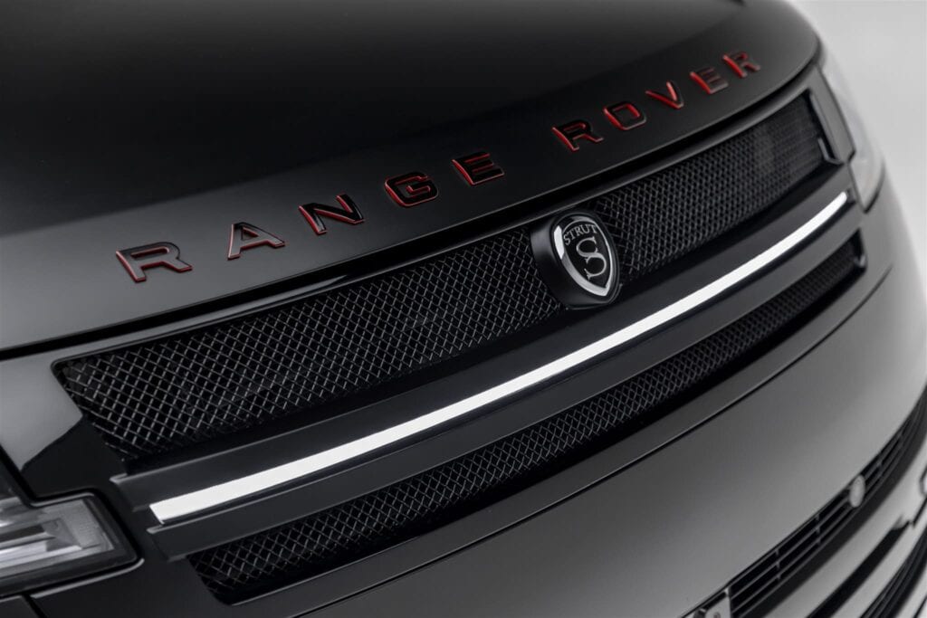 DEALER SERVICES LETTERING • STRUT